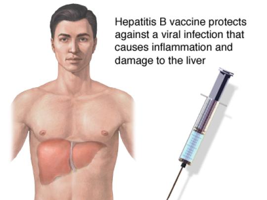 Protect Yourself from Hepatitis B | HIV.gov